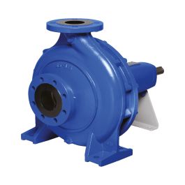 Ebara GS 100-315-242/B1 Bareshaft End Suction Pump - No Motor - Cast ...