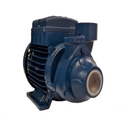 Pentax PM 45 BR Peripheral Turbine Water Pump - 230v - Pump Sales Direct